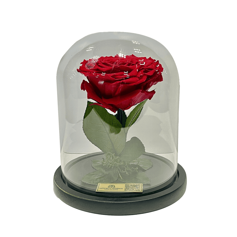 Forever flower Dubai | Buy Preserved & Infinity flowers in Dubai ...