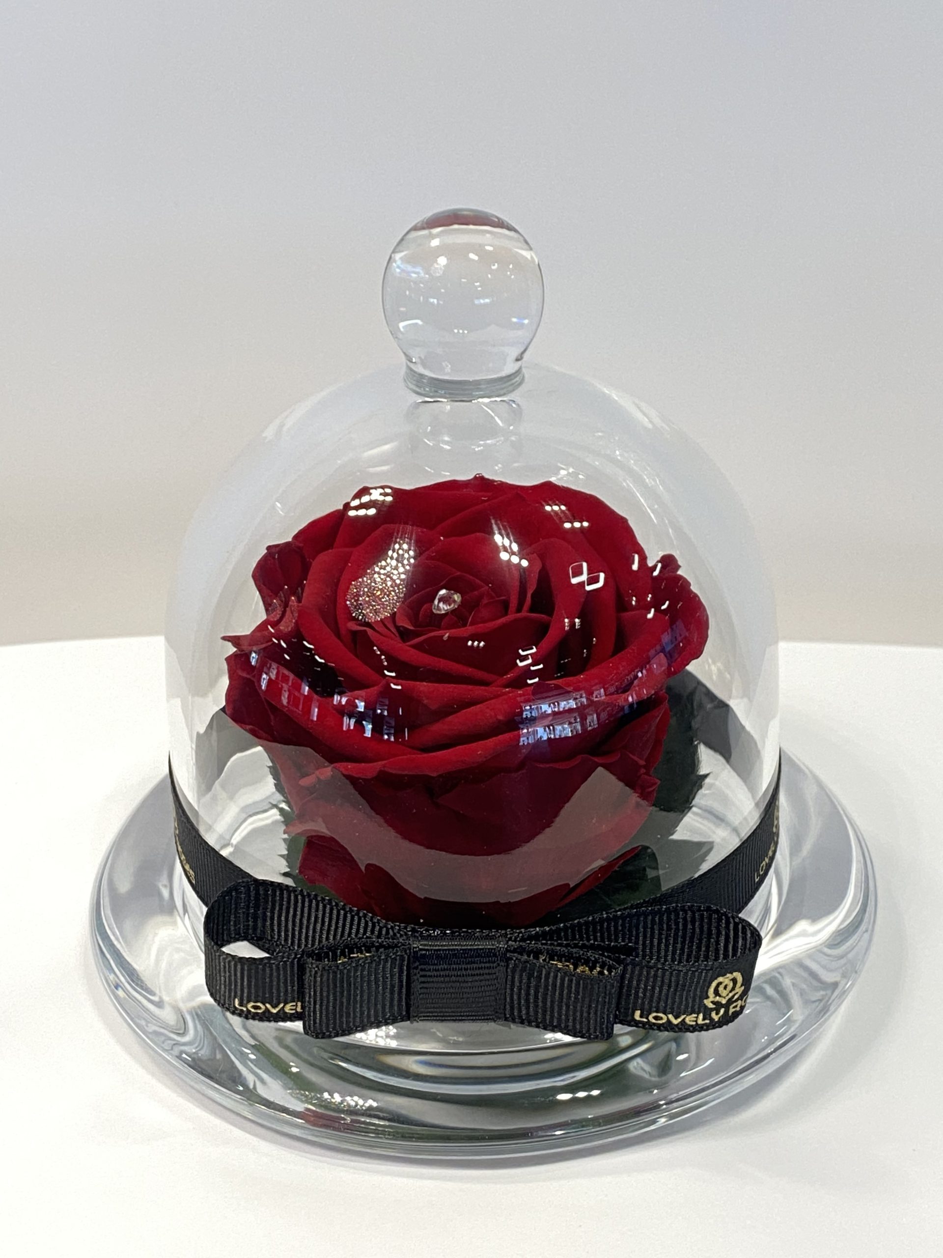 Embrace Timeless Love: Discover the Enchantment of Forever Roses